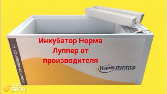 Страница автора Норма инкубаторы | WB Guru