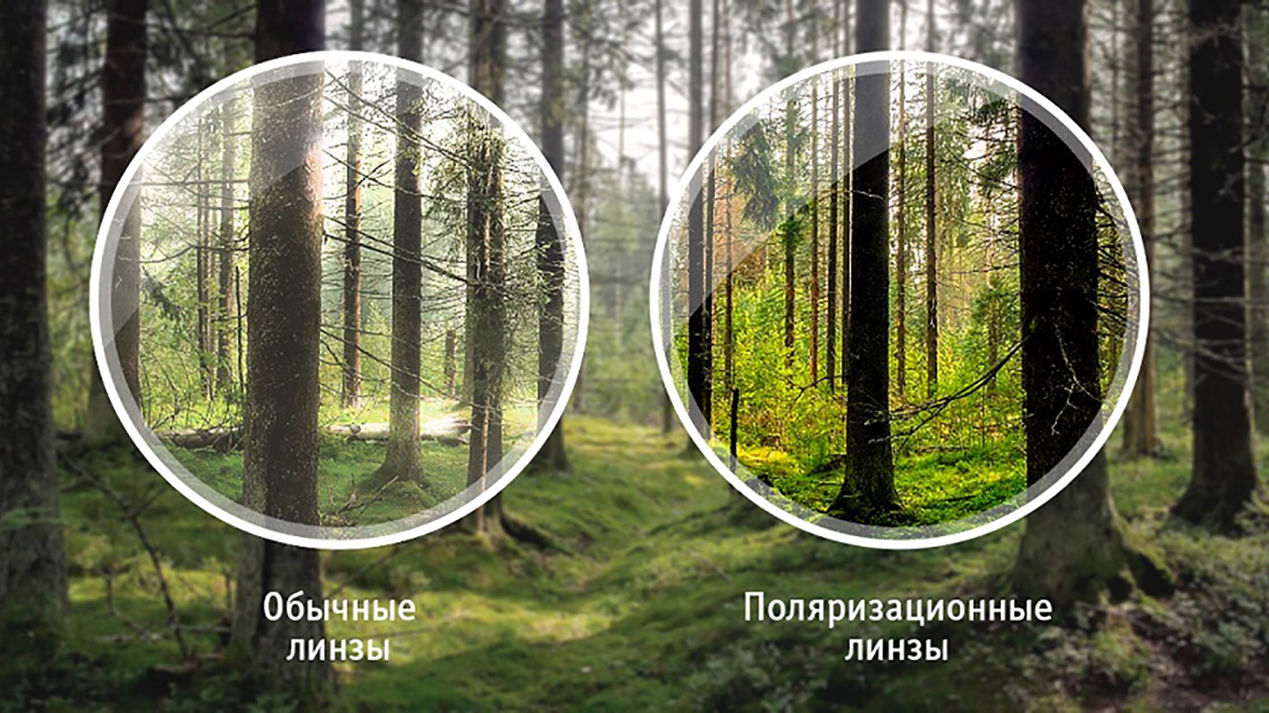 Что такое поляризация в очках? | Развлечения | WB Guru